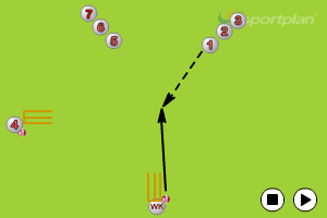 Target Throwing and Hitting the Stumps Ground fielding | Sportplan