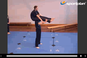 Sitting on a standing base Key 5 2 Balances and Bases | Sportplan