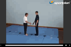 Palm to palm grip - two hands diagonal Key 5 3 Grips | Sportplan