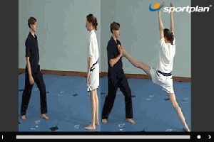 Single leg lifts and lean forwards Key 5 9 Assisted | Sportplan