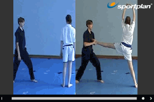 Single leg lifts and lean sideways Key 5 9 Assisted | Sportplan