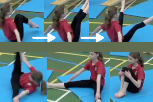 Linkage teddy roll Key 2 Body Condition Linkage - | Sportplan