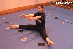 Straddle Sitting Base Key 5 2 Balances and Bases - | Sportplan