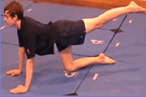 Box base variation Key 5 2 Balances and Bases - | Sportplan