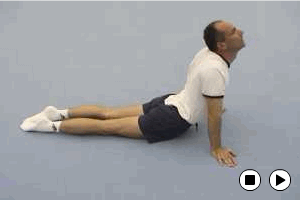 Back Flexibility Key 4 Warmup - Gymnastics Drills, | Sportplan