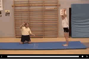 Bridge Exits. Forward Step C Walk Overs Forwards - | Sportplan