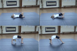Modified Bridge Key 3 Body conditioning - Gymnastics | Sportplan