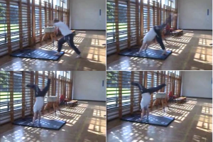 Hand stand with split leg again wall. Key 3 Handstand | Sportplan