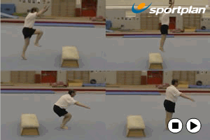 Hurdle Step on to platform and jump off. Key 1 content | Sportplan