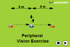 Periperal Vision Passing - Rugby Drills, Rugby | Sportplan