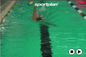 Pull Action. Backstroke - Technique - Swimming Drills, | Sportplan