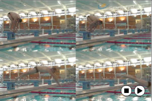 Butterfly - Technique - Swimming Drills, Swimming | Sportplan