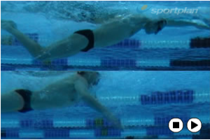 Butterfly - Technique - Swimming Drills, Swimming | Sportplan