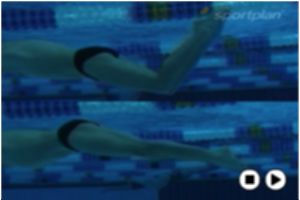 Butterfly - Technique - Swimming Drills, Swimming | Sportplan