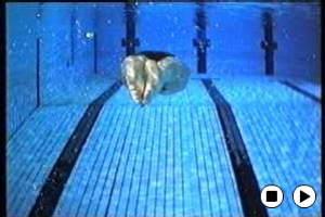No.4 Kick Action Breaststroke - Technique - Swimming | Sportplan